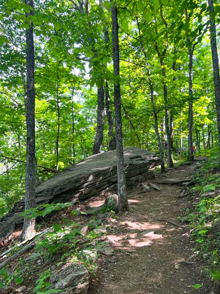 Bearwallow Mountain Trail - A Family-Fun Hike with a View - When In ... Bearwallow Mountain Trail - A Family-Fun Hike with a View - When In ...