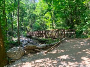 Catawba Falls Trail: Your Updated Guide (2024) - When In Asheville