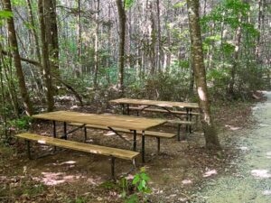 Catawba Falls Trail: Your Updated Guide (2024) - When In Asheville