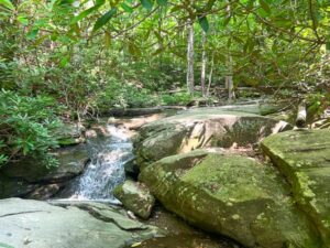 Catawba Falls Trail: Your Updated Guide (2024) - When In Asheville