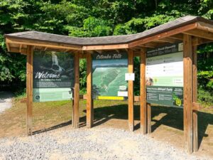 Catawba Falls Trail: Your Updated Guide (2024) - When In Asheville