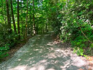 Sam Knob Trail - 2024 Hiking Guide - When In Asheville