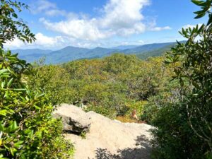Craggy Pinnacle: Short Trail with SPECTACULAR Views - When In Asheville