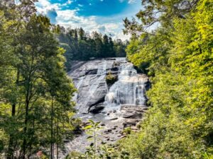 Your Guide To DuPont State Forest | North Carolina
