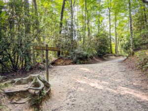 Triple Falls Trail - DuPont State Forest - 2024 Hiking Guide - When In ...