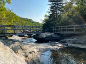 Your Guide to Graveyard Fields Trail on The Blue Ridge Parkway - When ...