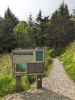Exploring Mount Mitchell: Your Essential Visitor's Guide - When In ...