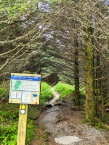 Exploring Mount Mitchell: Your Essential Visitor's Guide - When In ...