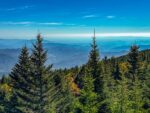 Exploring Mount Mitchell: Your Essential Visitor's Guide - When In ...