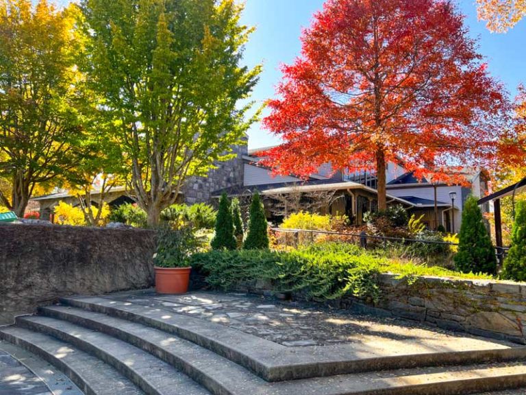 Asheville, NC In Fall: Your 3-Day Weekend Itinerary (2025) - When In ...