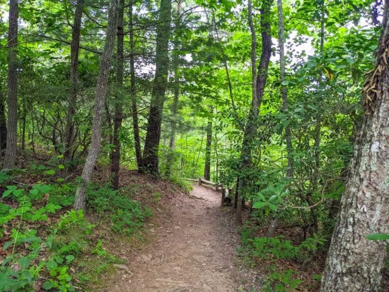 The NC Arboretum's Carolina Mountain Trail - When In Asheville