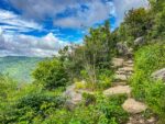 Sam Knob Trail - 2024 Hiking Guide - When In Asheville