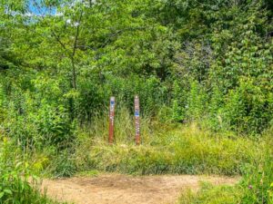 Sam Knob Trail - 2024 Hiking Guide - When In Asheville
